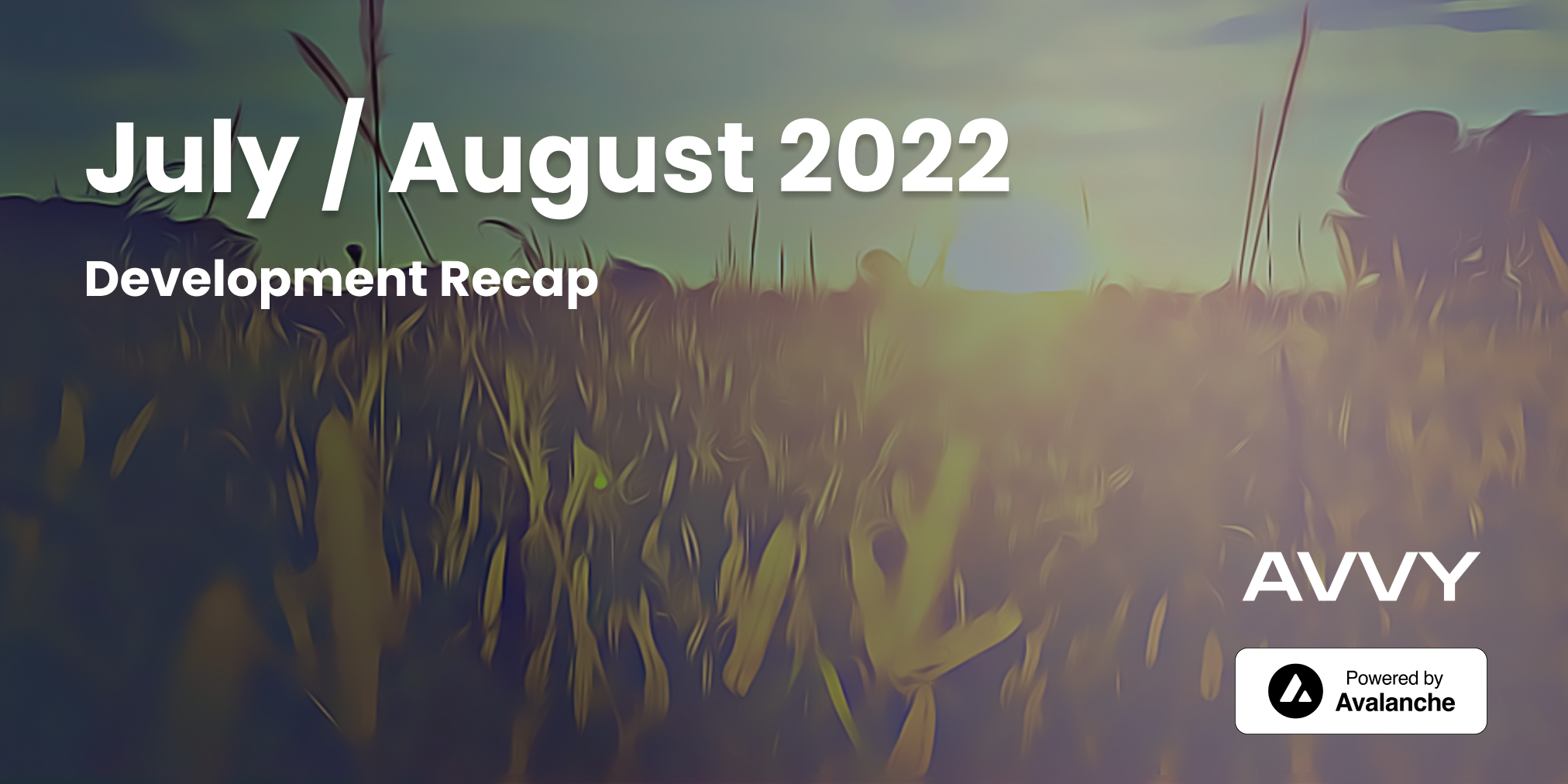 The Avalanche Name Service - Avvy Domains